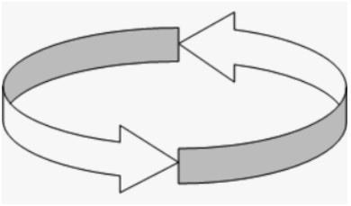 Understanding Personal Protective Equipment Head Protection
